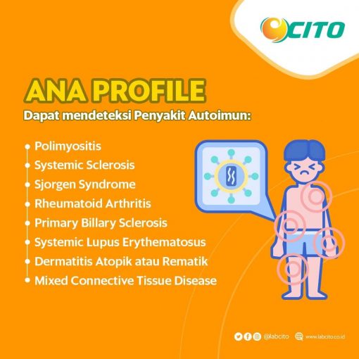 Cek Kesehatan Lengkap (CAKAP) Autoimun Paket Ana Profile